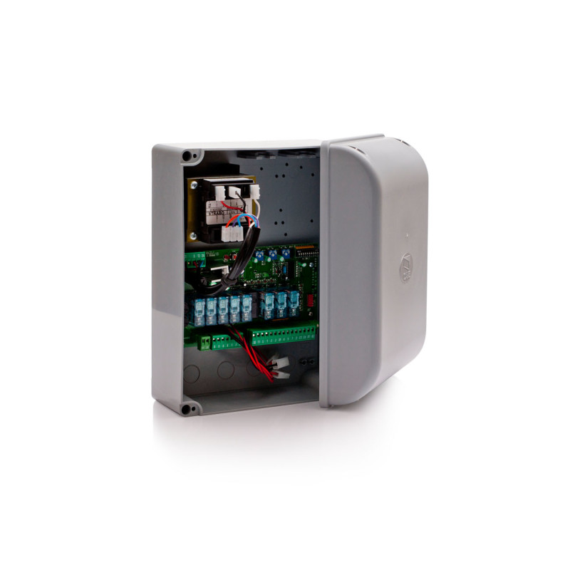 CAME FROG AE/2 Underground 230V motor - Kit M