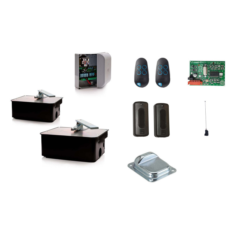 CAME FROG AE/2 Underground 230V motor - Kit M